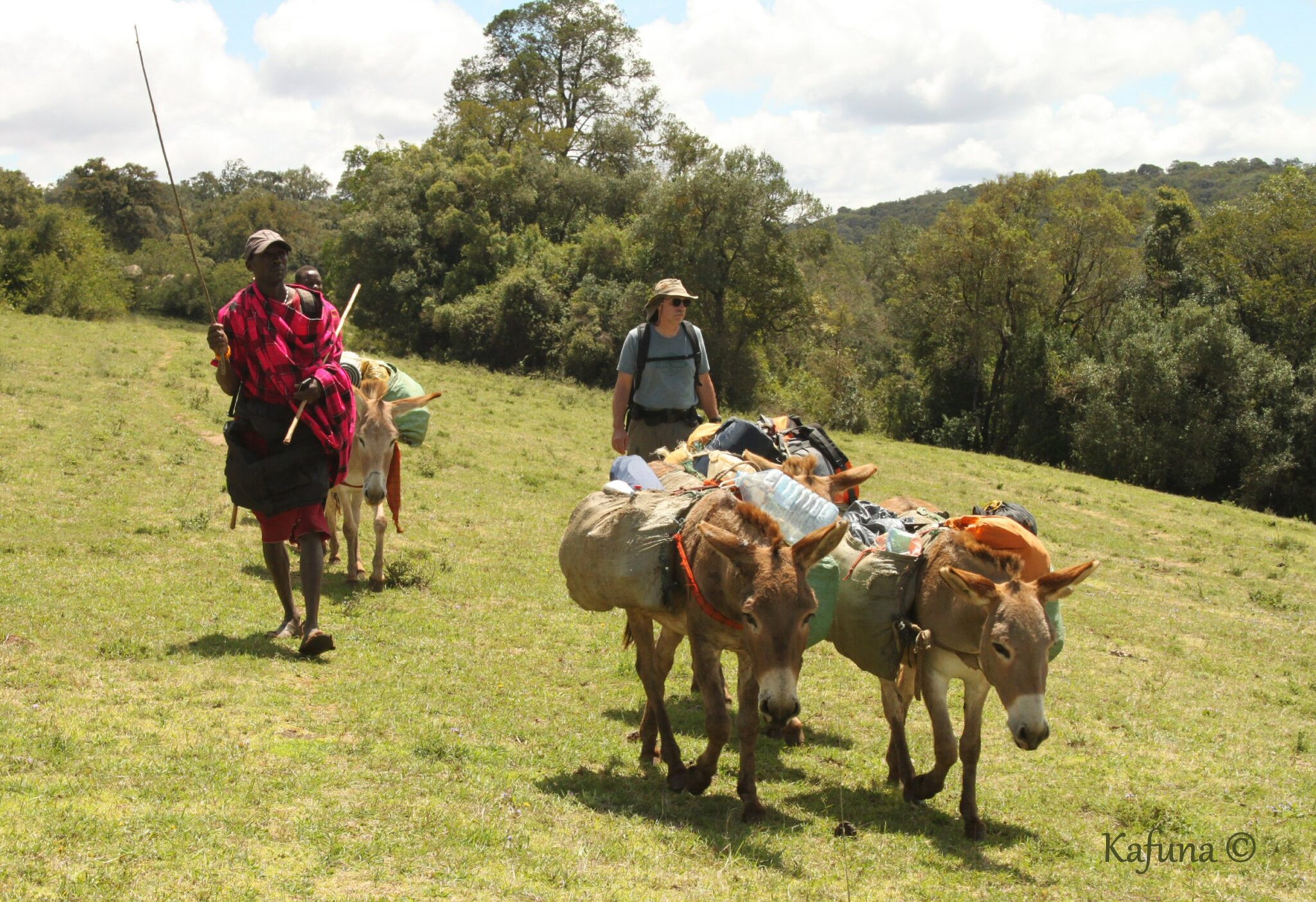 NORTHWEST ADVENTURE SAFARIS – Leaders in wilderness travel and gap year ...